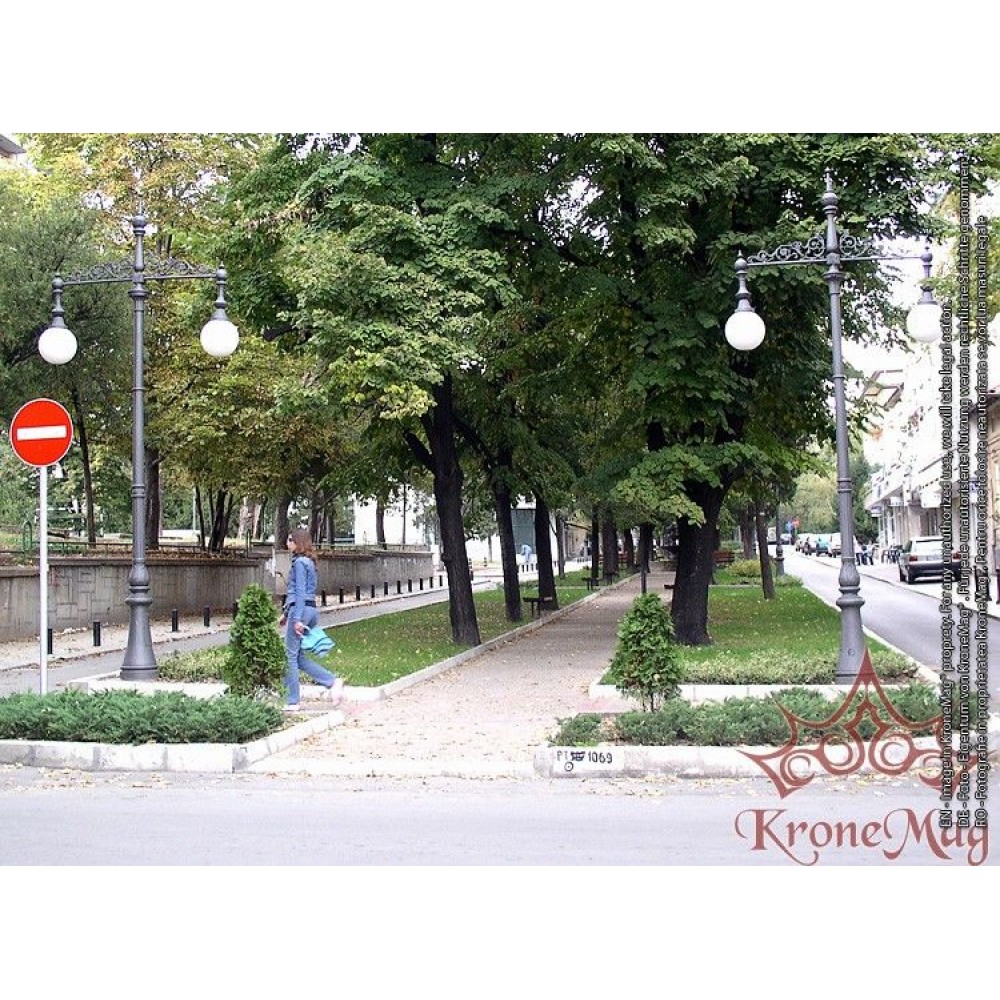 Hochwertige Lichtmasten für Straßenbeleuchtung 1H1-Y2 :: KroneMag